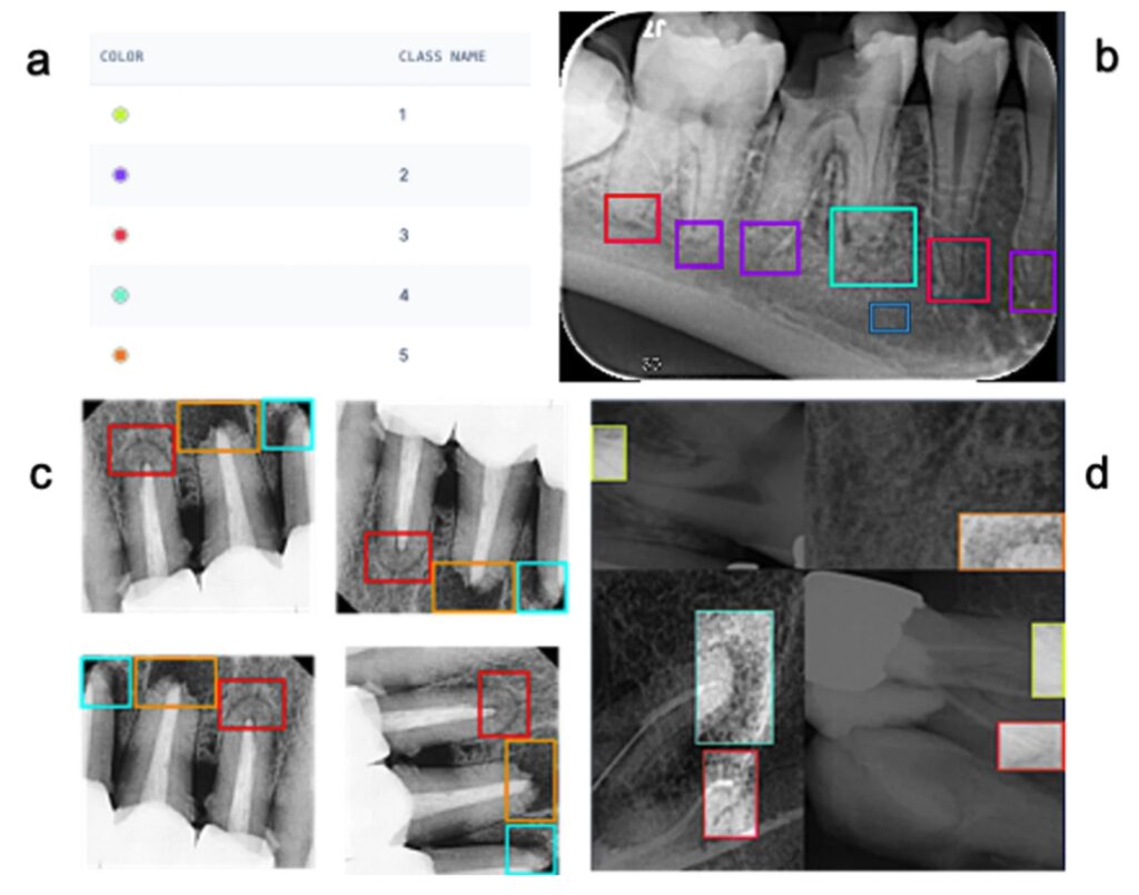 Advancing Life Science Breakthroughs Through AI: How British University in Egypt Pioneered ...