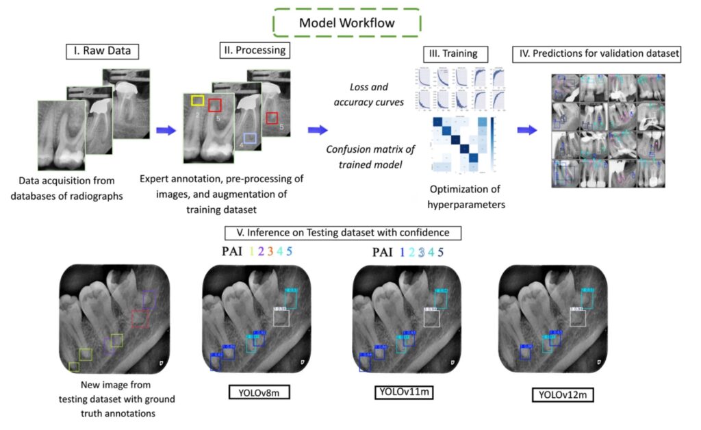 Advancing Life Science Breakthroughs Through AI: How British University in Egypt Pioneered ...